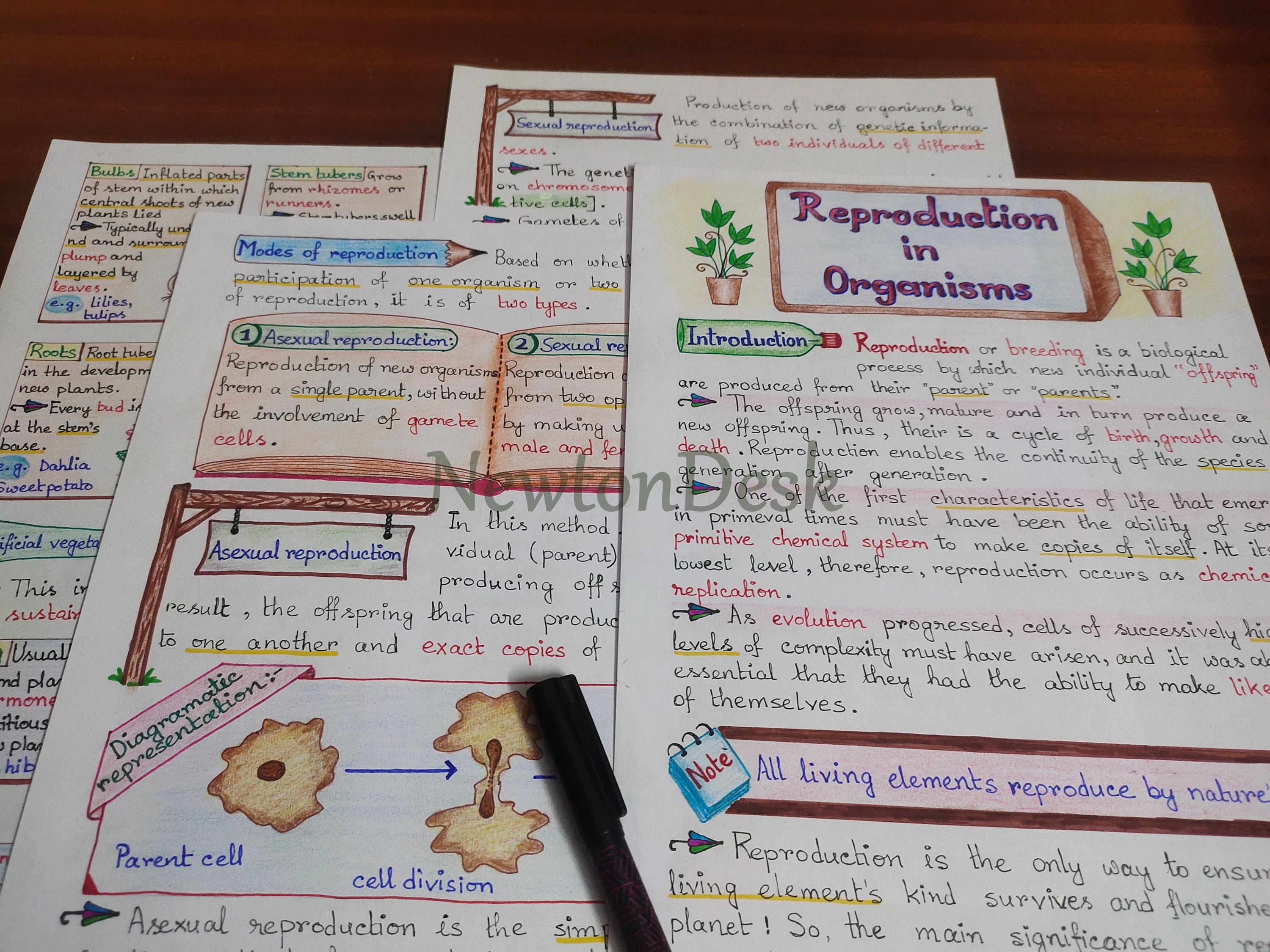 Reproduction in Organisms Biology Grade 12 Handwritten Color Study ...