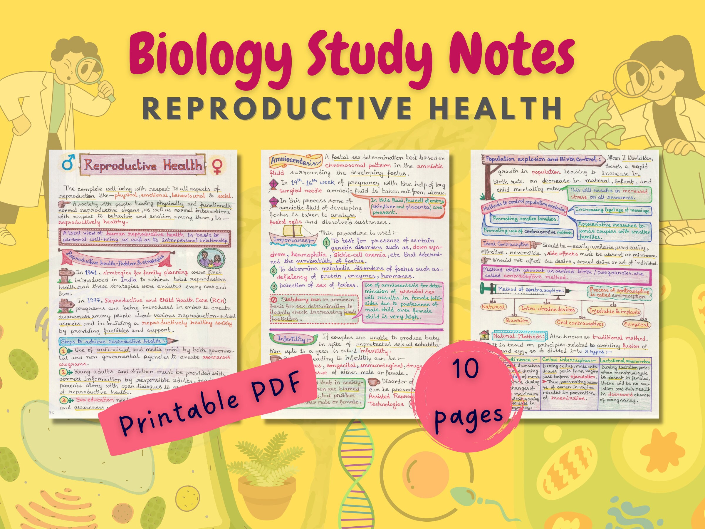 Human Reproductive Health Male & Female Biology Grade 12 Handwritten ...