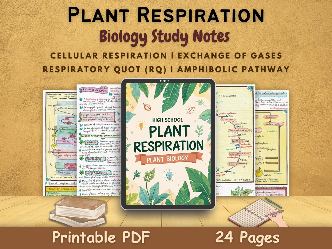 Plant Respiration Study Notes | High School Biology PDF | Cellular ...