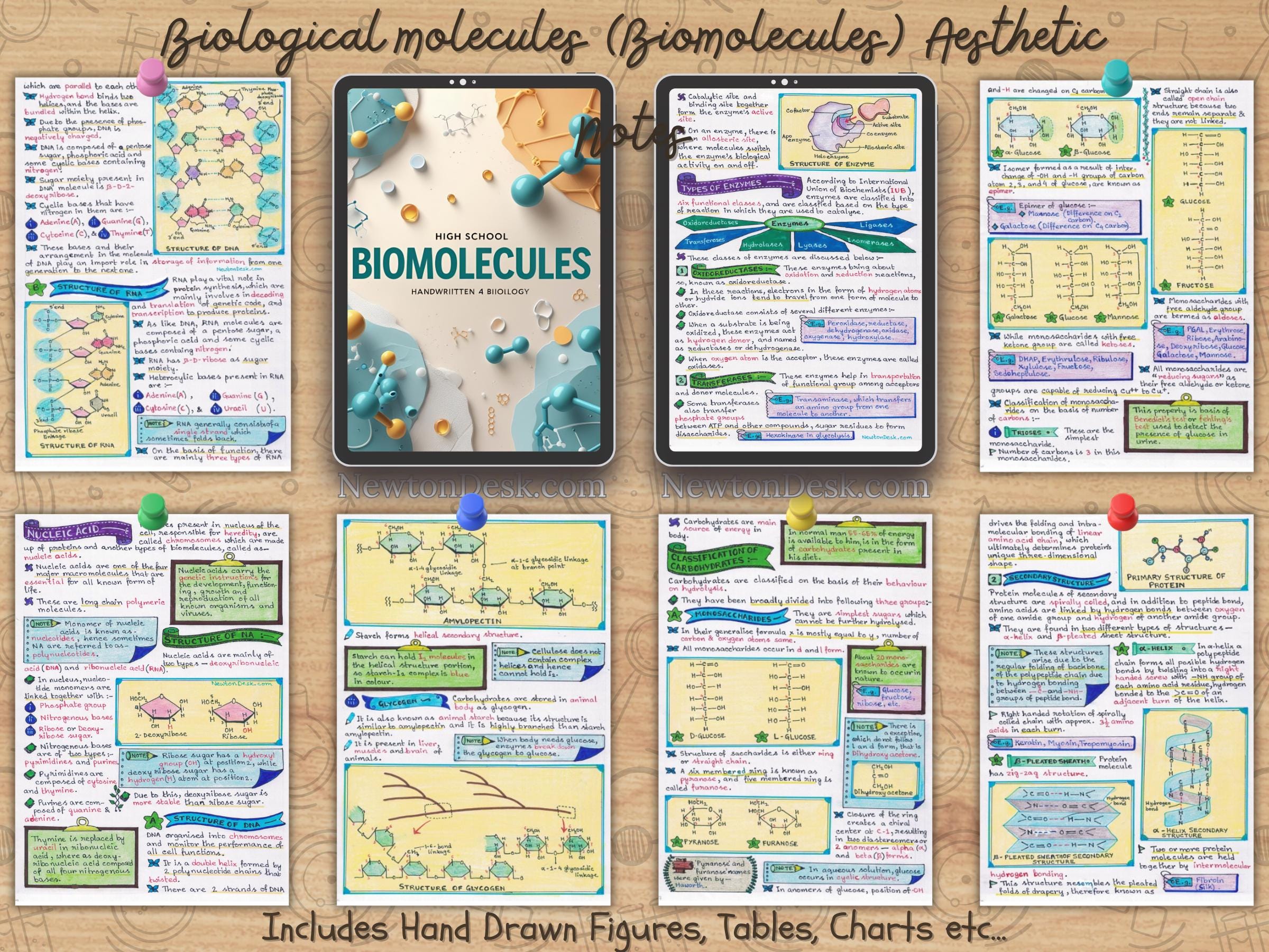 Biological Molecules | Nucleic Acids (DNA and RNA), Proteins ...