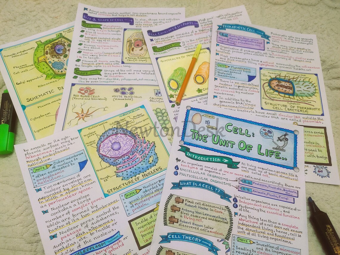 Cell Structure, Organelles and Function | Eukaryotic Cell and ...