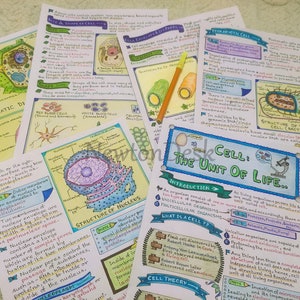 Cell Structure, Organelles and Function | Eukaryotic Cell and ...