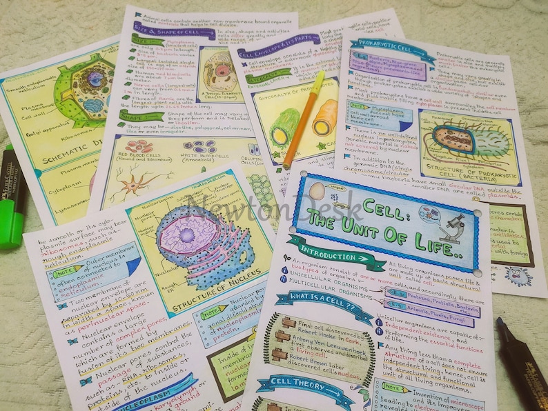 Cell Structure, Organelles and Function | Eukaryotic Cell and ...