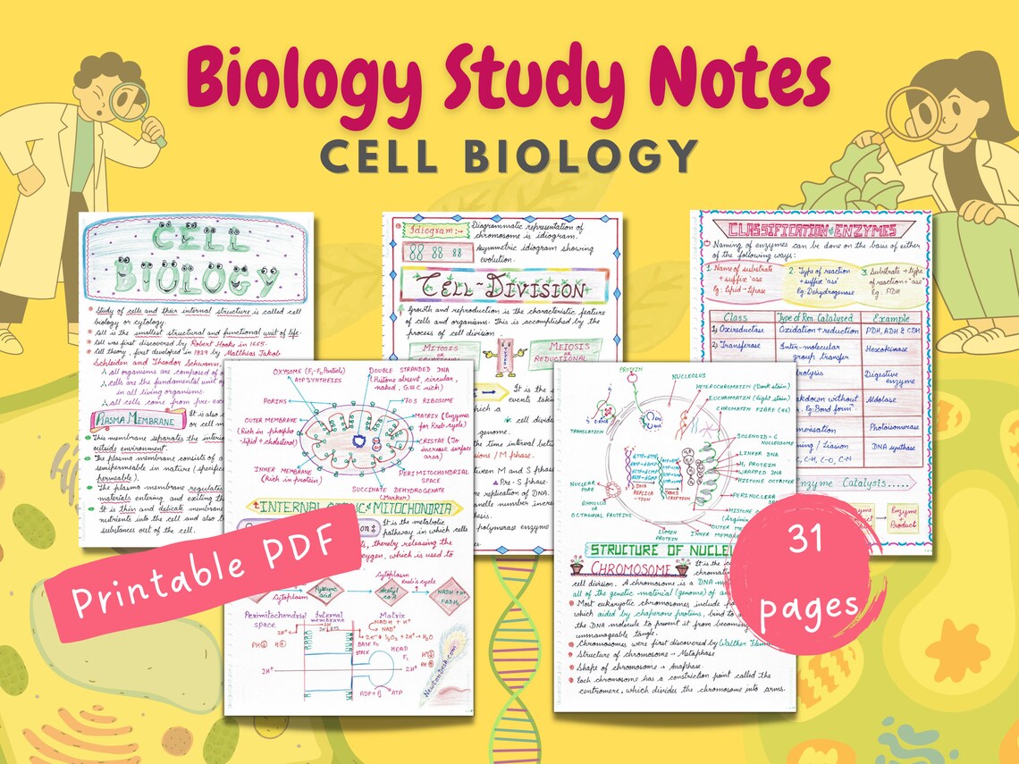 Cell Biology | Cell Cycle | Cell Division | Enzymes - Grade 11 Biology ...
