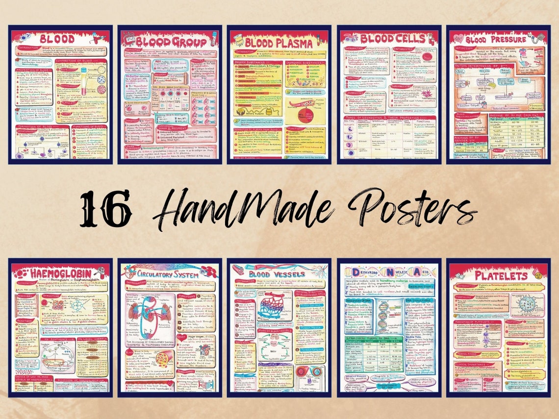 16 Science Biology Posters Bundle Handmade Educational - Etsy