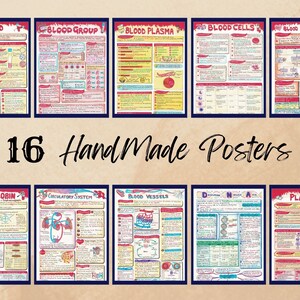 16 Science Biology Posters Bundle, Handmade Educational Posters for ...
