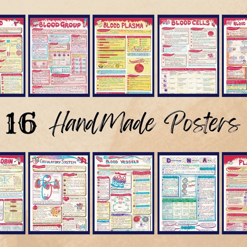 Biology Poster - Etsy