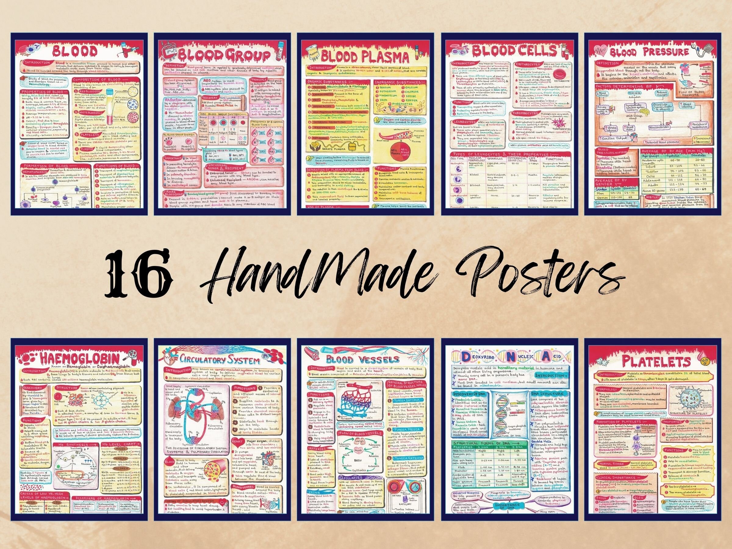 16 Science Biology Posters Bundle, Handmade Educational Posters for ...
