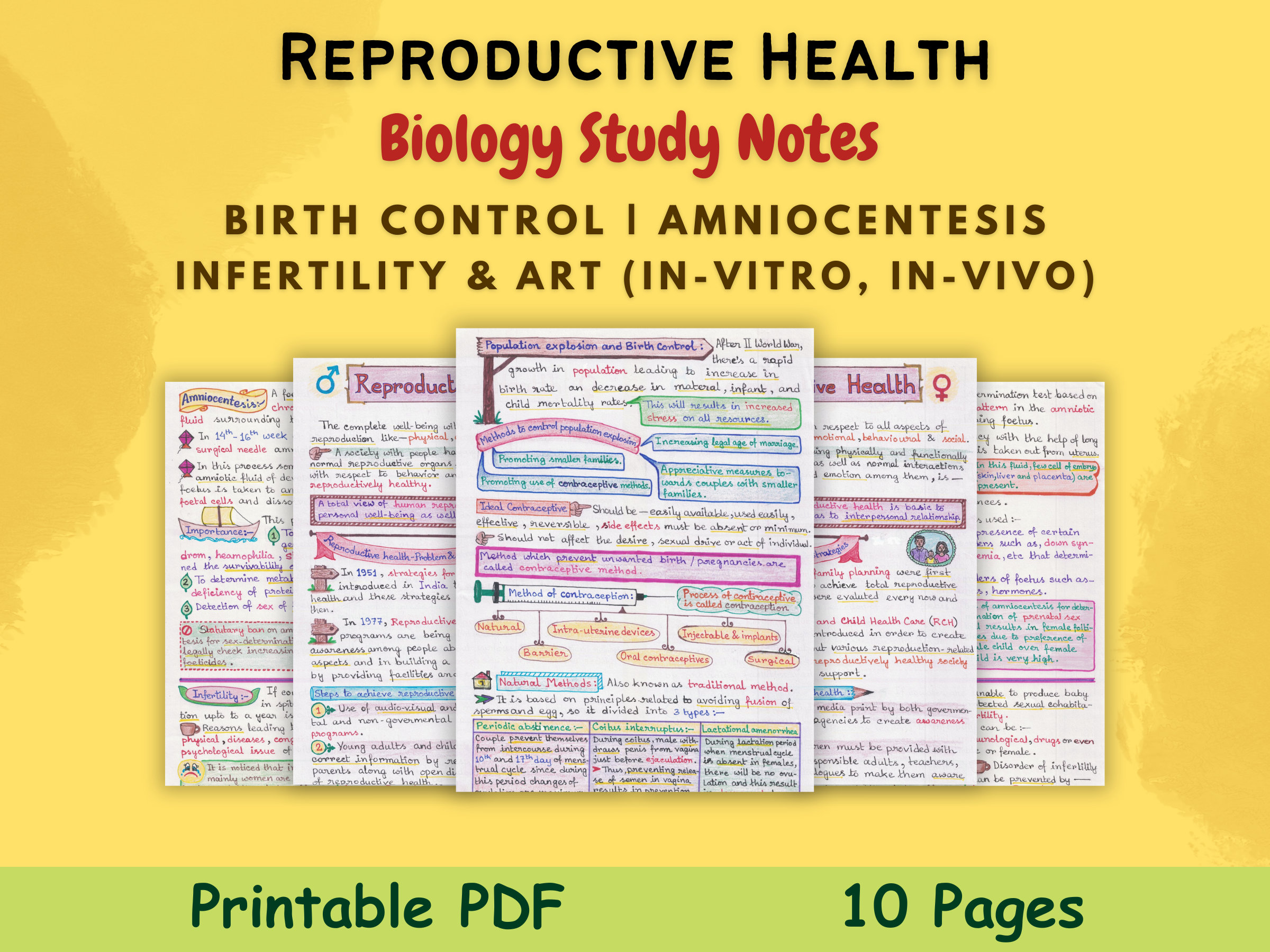 Human Reproductive Health Male & Female Biology Grade 12 Handwritten ...