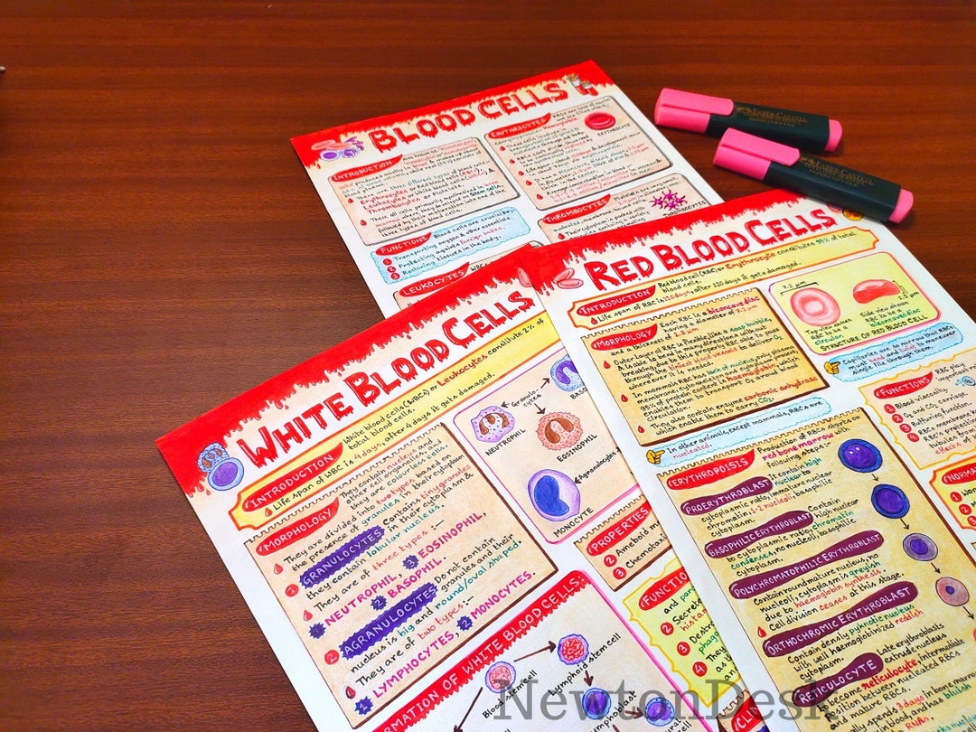 16 Science Biology Posters Bundle Handmade Educational - Etsy