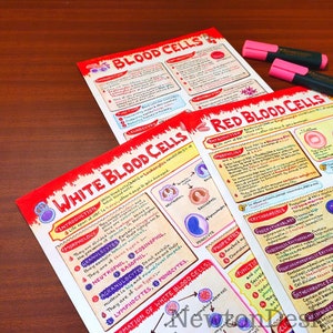 16 Science Biology Posters Bundle, Handmade Educational Posters for ...