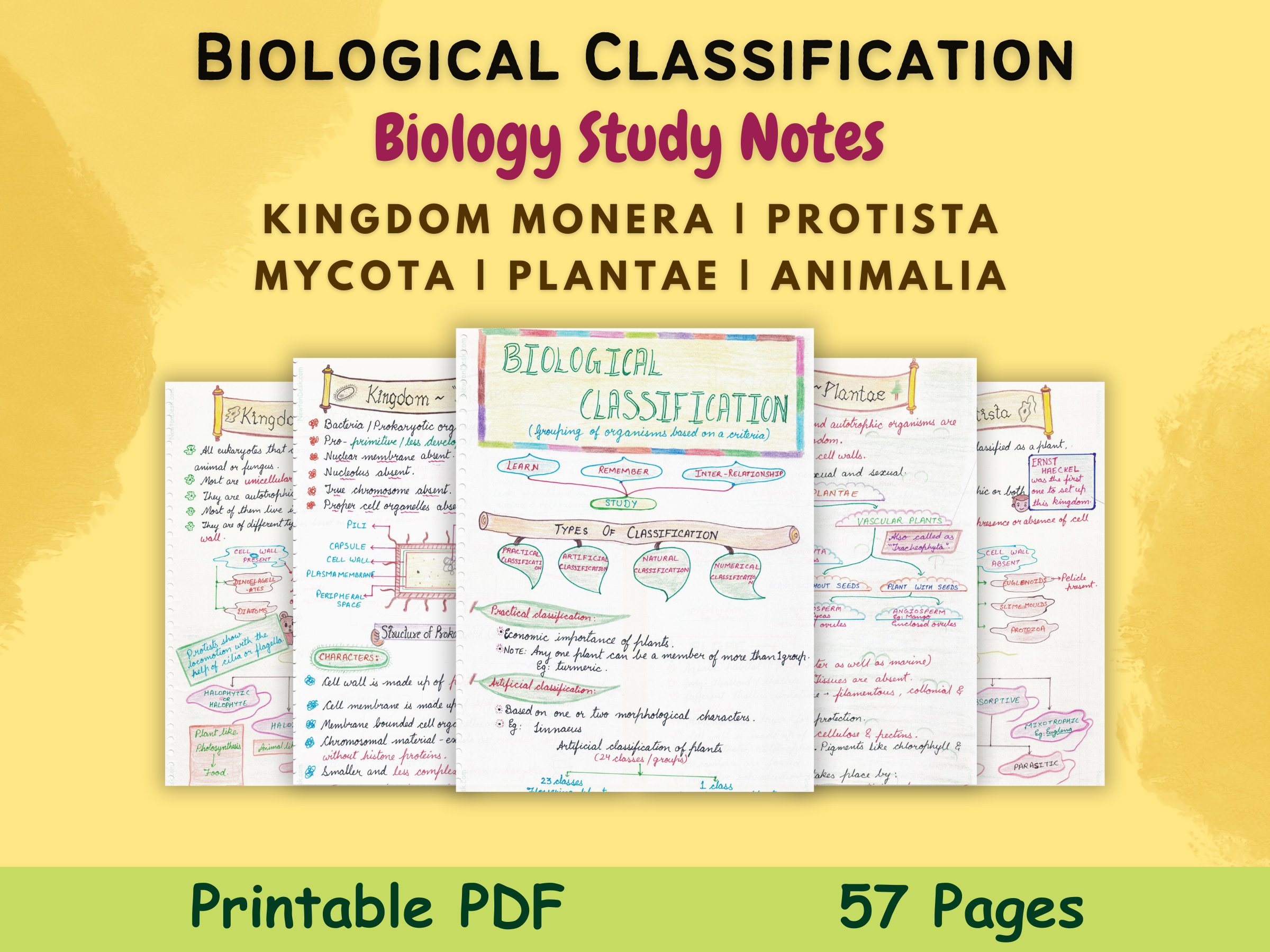 Classification Biology