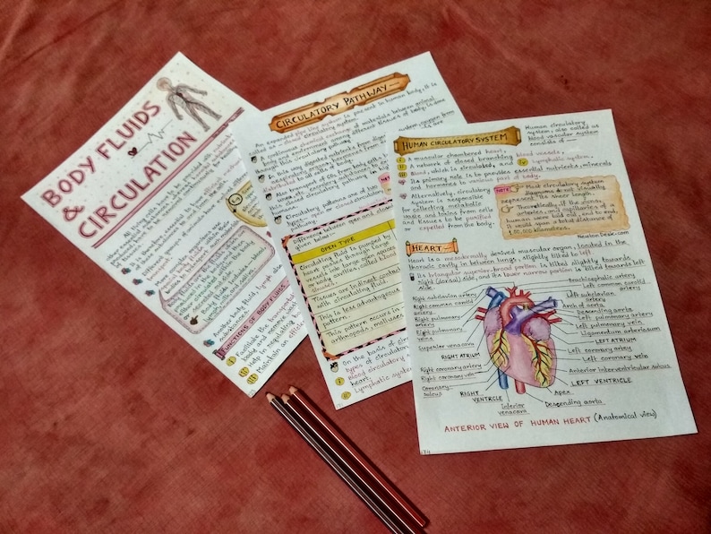 Body Fluids & Circulation Study Notes PDF | Blood Plasma and Groups ...