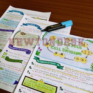 Cell Cycle and Cell Division | Mitosis and Meiosis I & II | Aesthetic ...