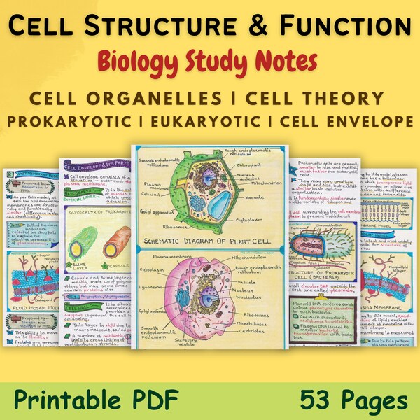 Cell Organelles Study Notes - Etsy