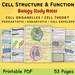 Cell Structure, Organelles and Function Eukaryotic Cell and Prokaryotic ...