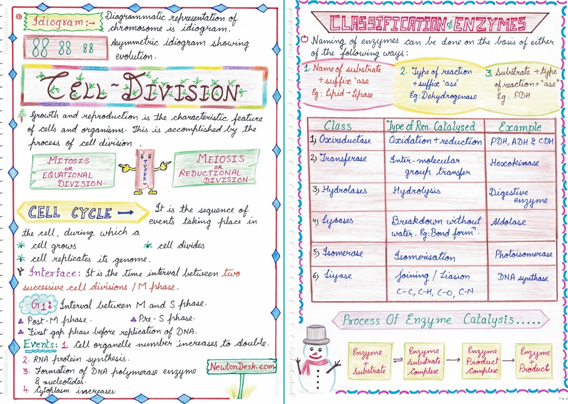 Cell Biology | Cell Cycle | Cell Division | Enzymes - Grade 11 Biology ...