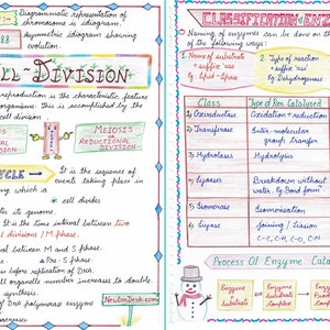 Cell Biology | Cell Cycle | Cell Division | Enzymes - Grade 11 Biology ...