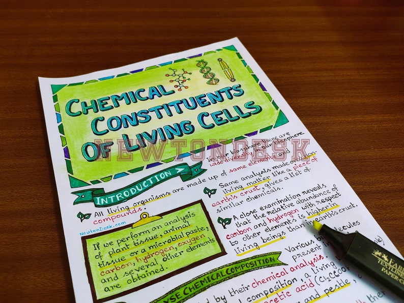 Biological Molecules Nucleic Acids DNA and RNA, Proteins, Carbohydrates ...