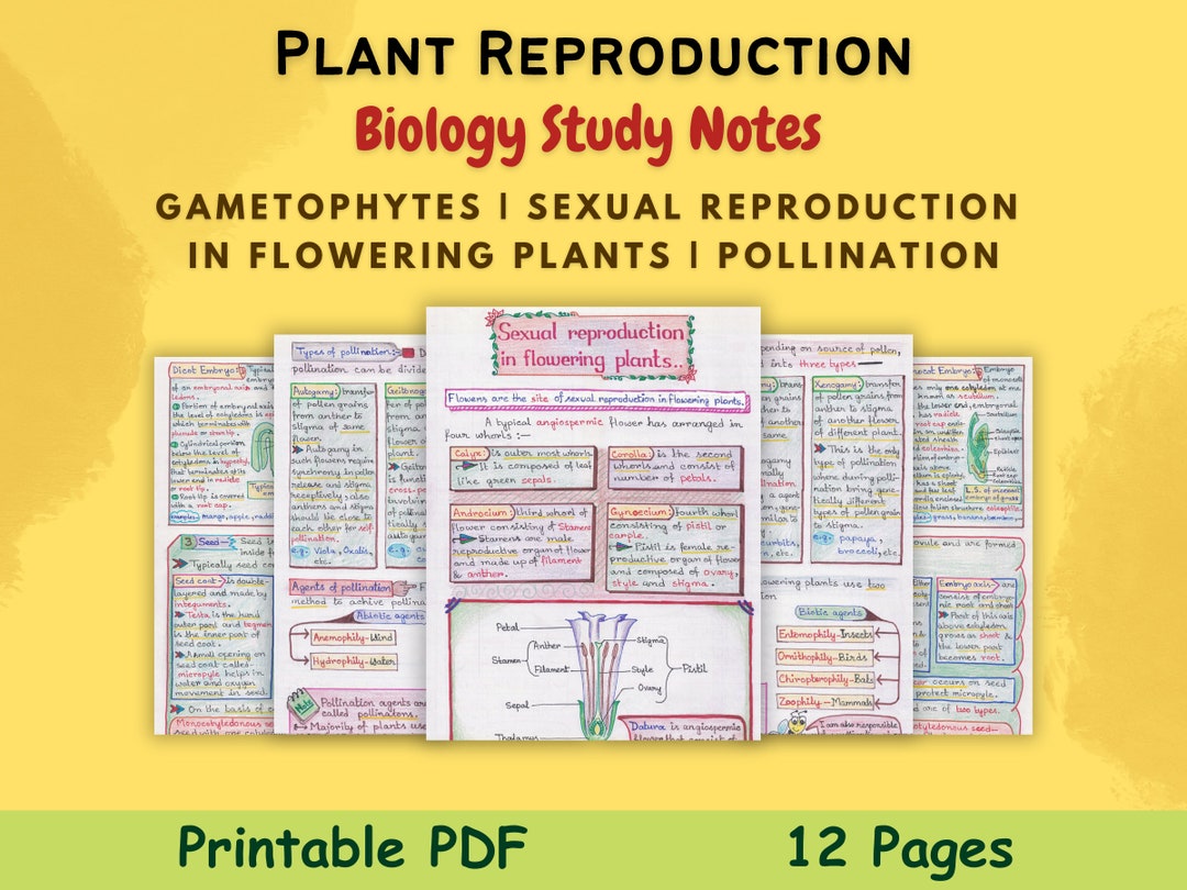 Sexual Reproduction in Flowering Plants Biology Grade 12 Handwritten ...
