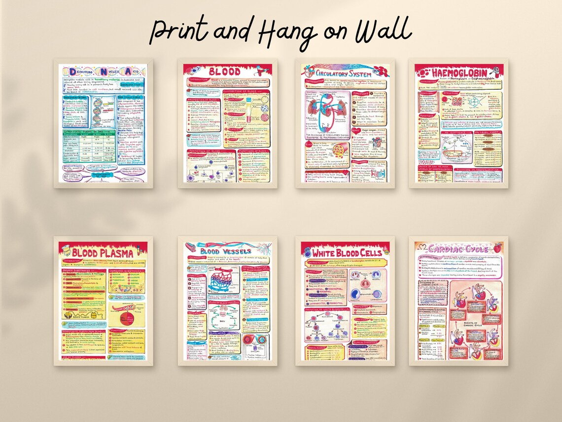 16 Science Biology Posters Bundle, Handmade Educational Posters for ...