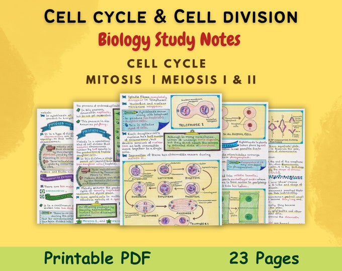 Mitosis Cell Division Foldable Cut and Paste Science Activity and Printable Worksheets Posters ...