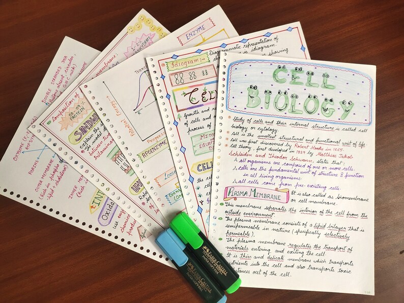 Cell Biology | Cell Cycle | Cell Division | Enzymes - Grade 11 Biology ...