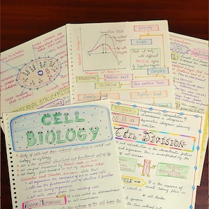Cell Biology | Cell Cycle | Cell Division | Enzymes - Grade 11 Biology ...