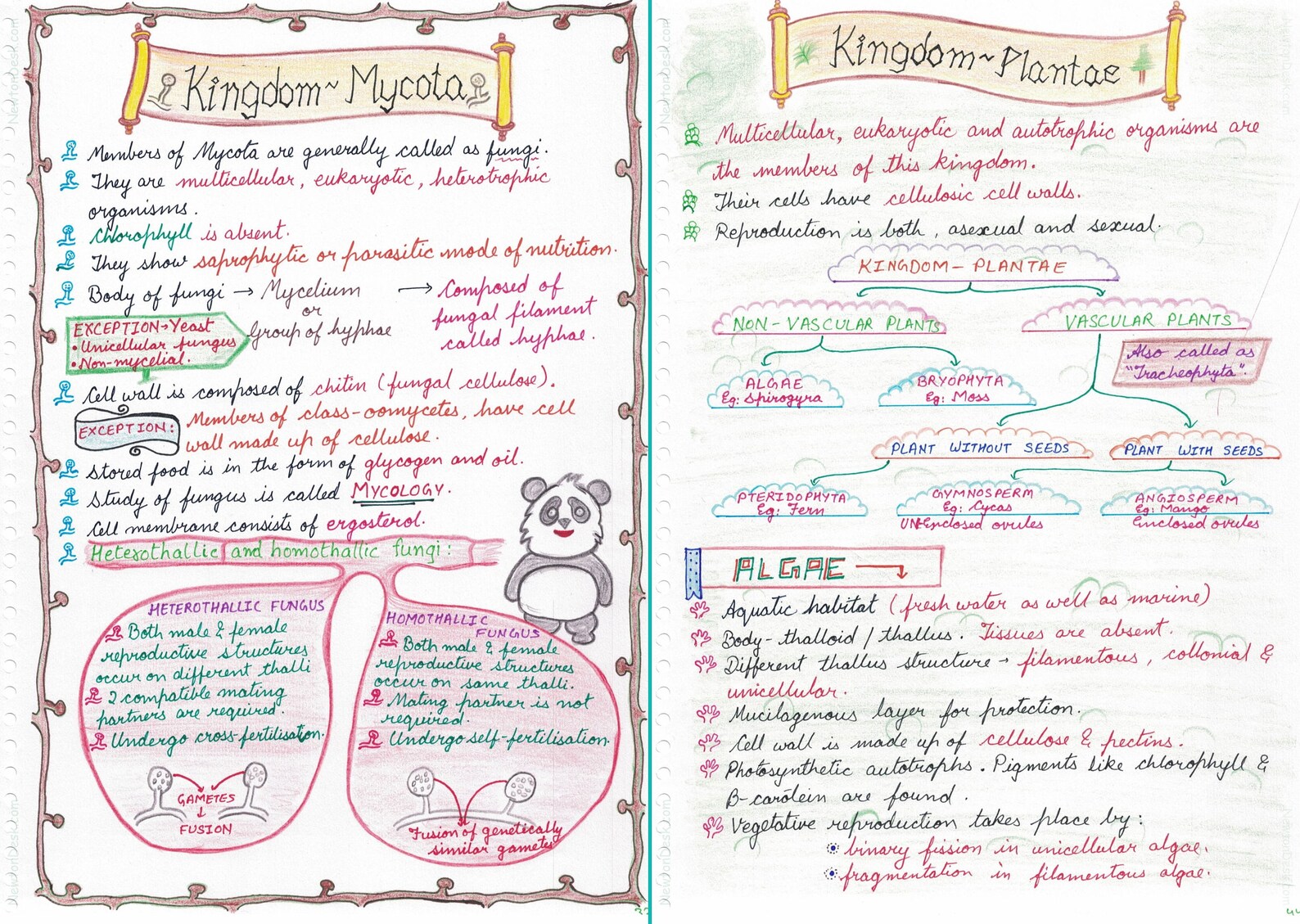 Biological Classification (five Kingdom) | Biology | Grade 11 ...