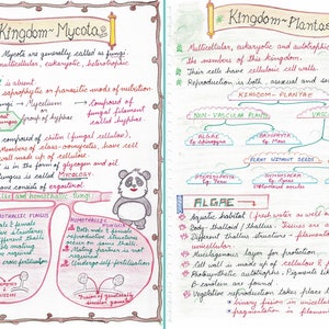 Biological Classification (five Kingdom) | Biology | Grade 11 ...