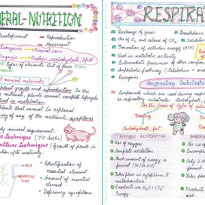 Plant Physiology | Transport in Plants | Respiration in Plants | Plant ...