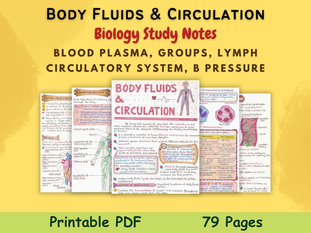 Body Fluids & Circulation Study Notes PDF | Blood Plasma and Groups ...
