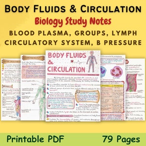Body Fluids & Circulation Study Notes PDF | Blood Plasma and Groups ...