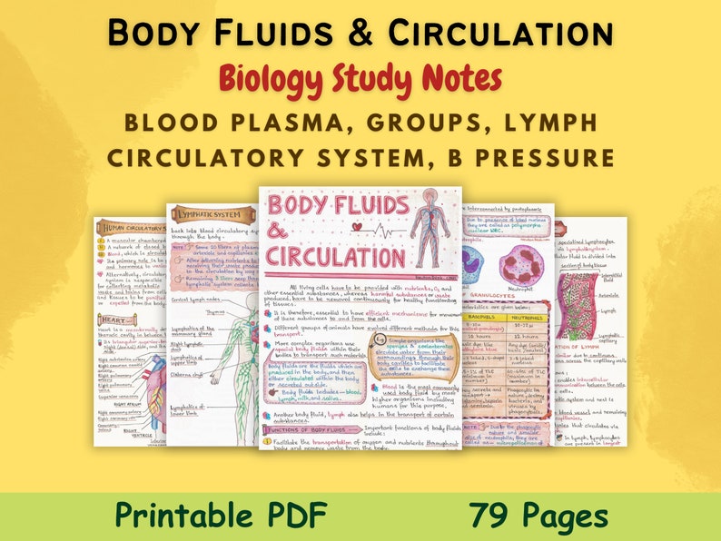 Body Fluids & Circulation Study Notes PDF | Blood Plasma and Groups ...