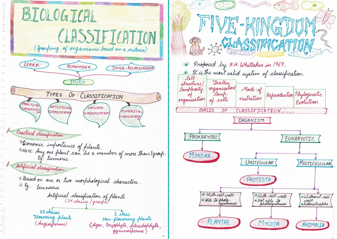 Biological Classification five Kingdom Biology Grade 11 Handwritten ...