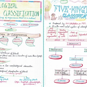 Biological Classification (five Kingdom) | Biology | Grade 11 ...