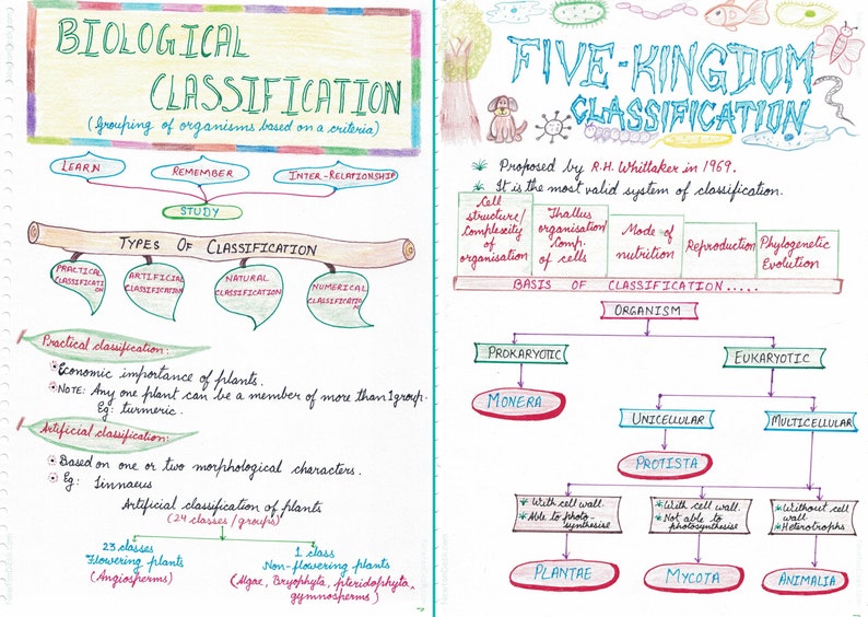 Biological Classification five Kingdom Biology Grade 11 Handwritten ...