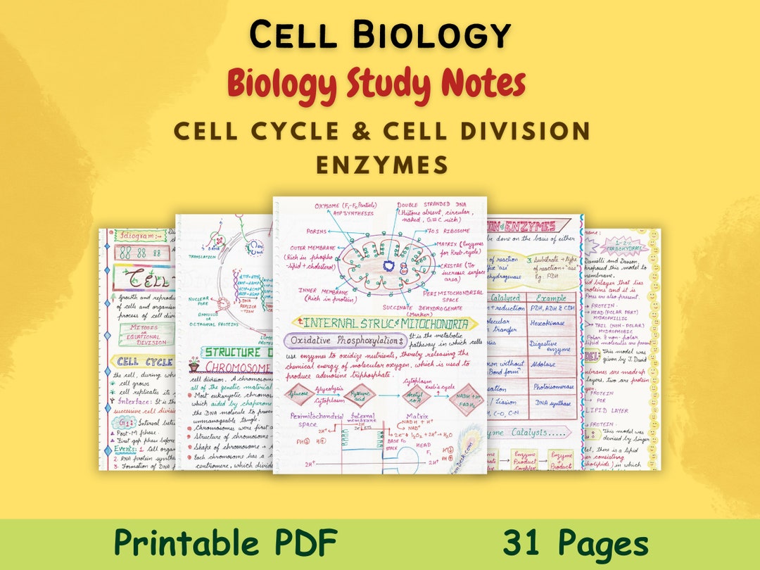 Cell Biology | Cell Cycle | Cell Division | Enzymes - Grade 11 Biology ...