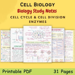Cell Biology | Cell Cycle | Cell Division | Enzymes - Grade 11 Biology ...