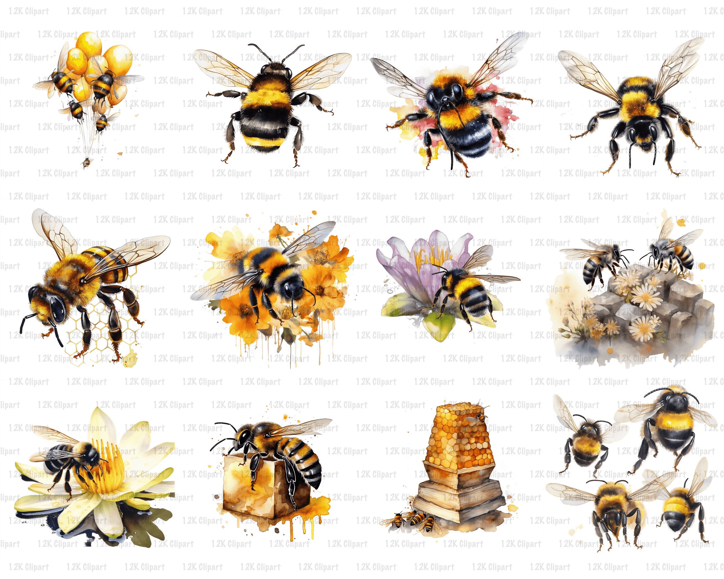 Watercolor Clipart Bumble Bee & Honey Bee Bundle Ultra-high Resolution ...