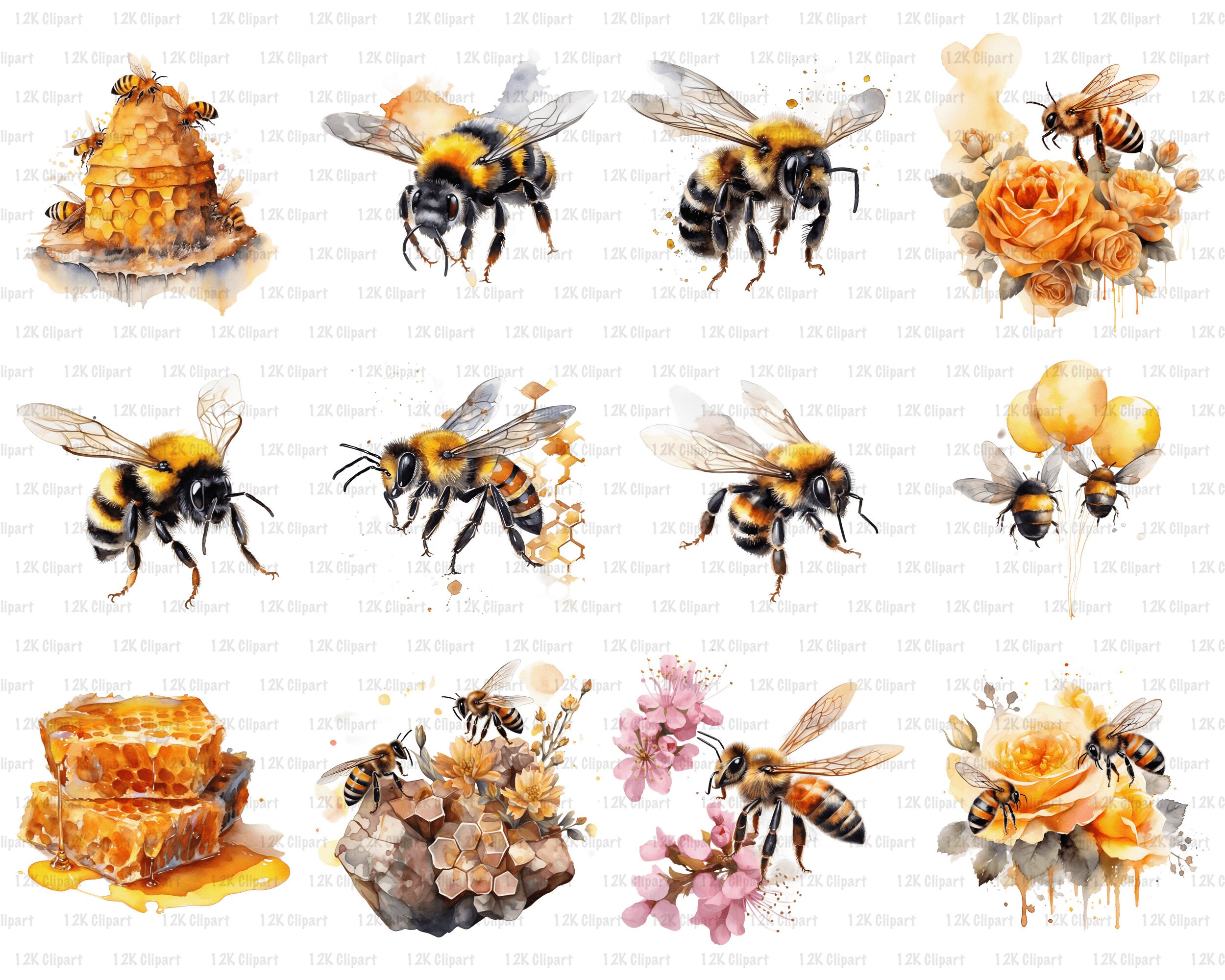 Watercolor Clipart Bumble Bee & Honey Bee Bundle Ultra-high Resolution ...