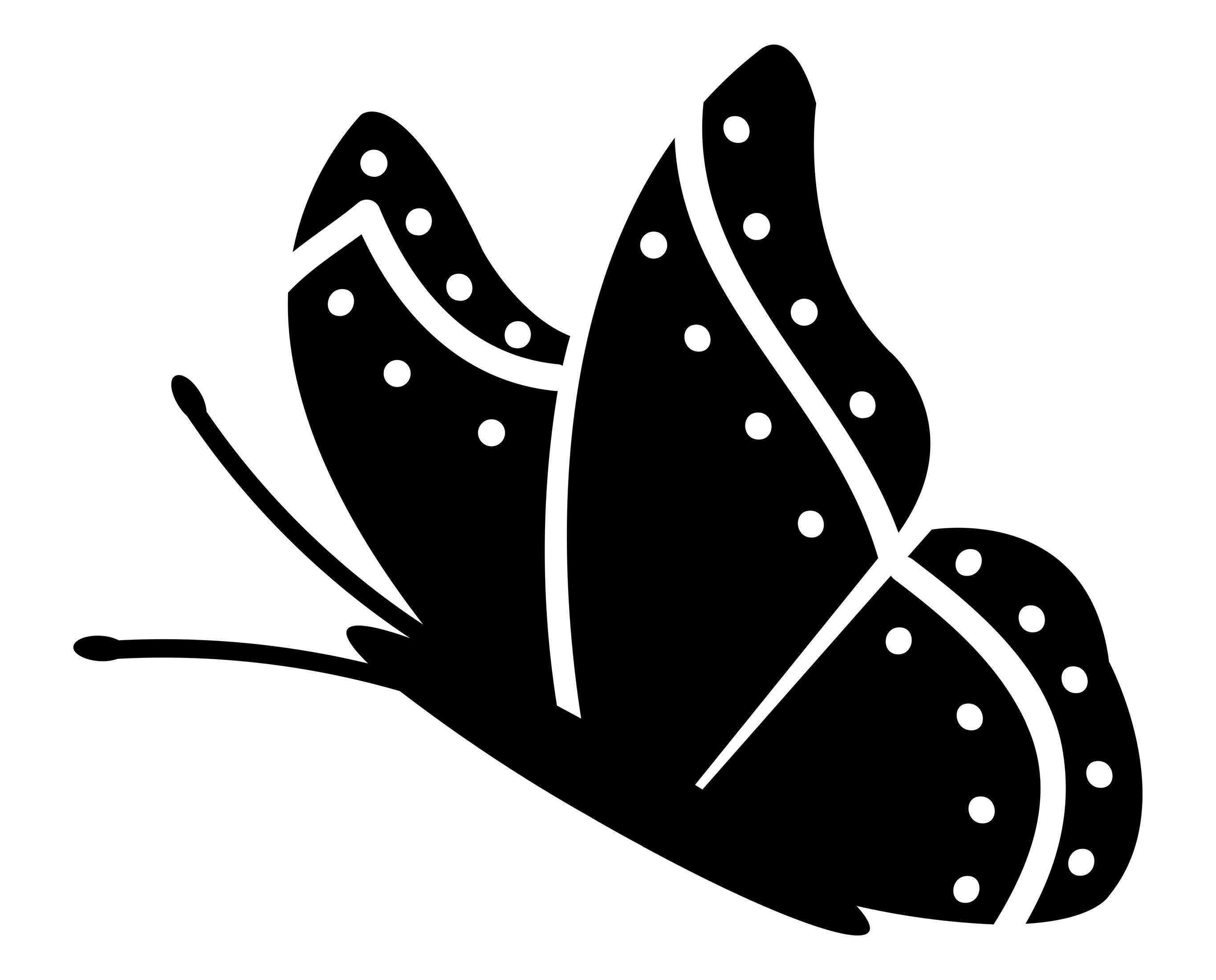 Butterfly Vinyl Decal Butterfly Decal White Vinyl Decal - Etsy