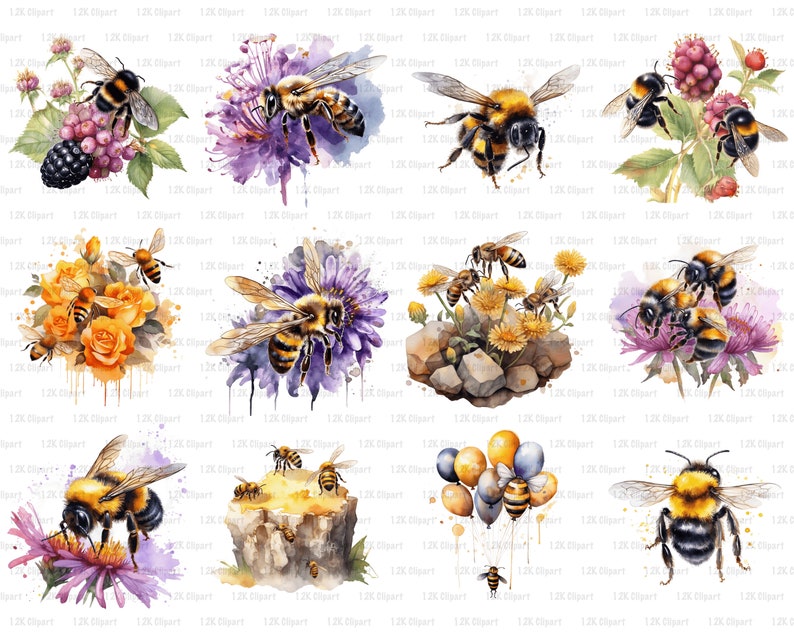 Watercolor Clipart Bumble Bee & Honey Bee Bundle Ultra-high Resolution ...
