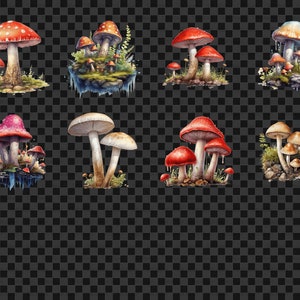 Watercolor Mushrooms Clipart Mushrooms Png Bundle Ultra-high - Etsy