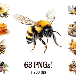 Watercolor Clipart Bumble Bee & Honey Bee Bundle Ultra-high Resolution ...