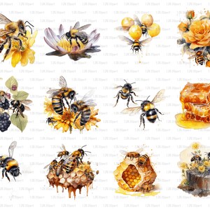 Watercolor Clipart Bumble Bee & Honey Bee Bundle Ultra-high Resolution ...
