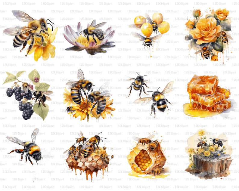 Watercolor Clipart Bumble Bee & Honey Bee Bundle Ultra-high Resolution ...