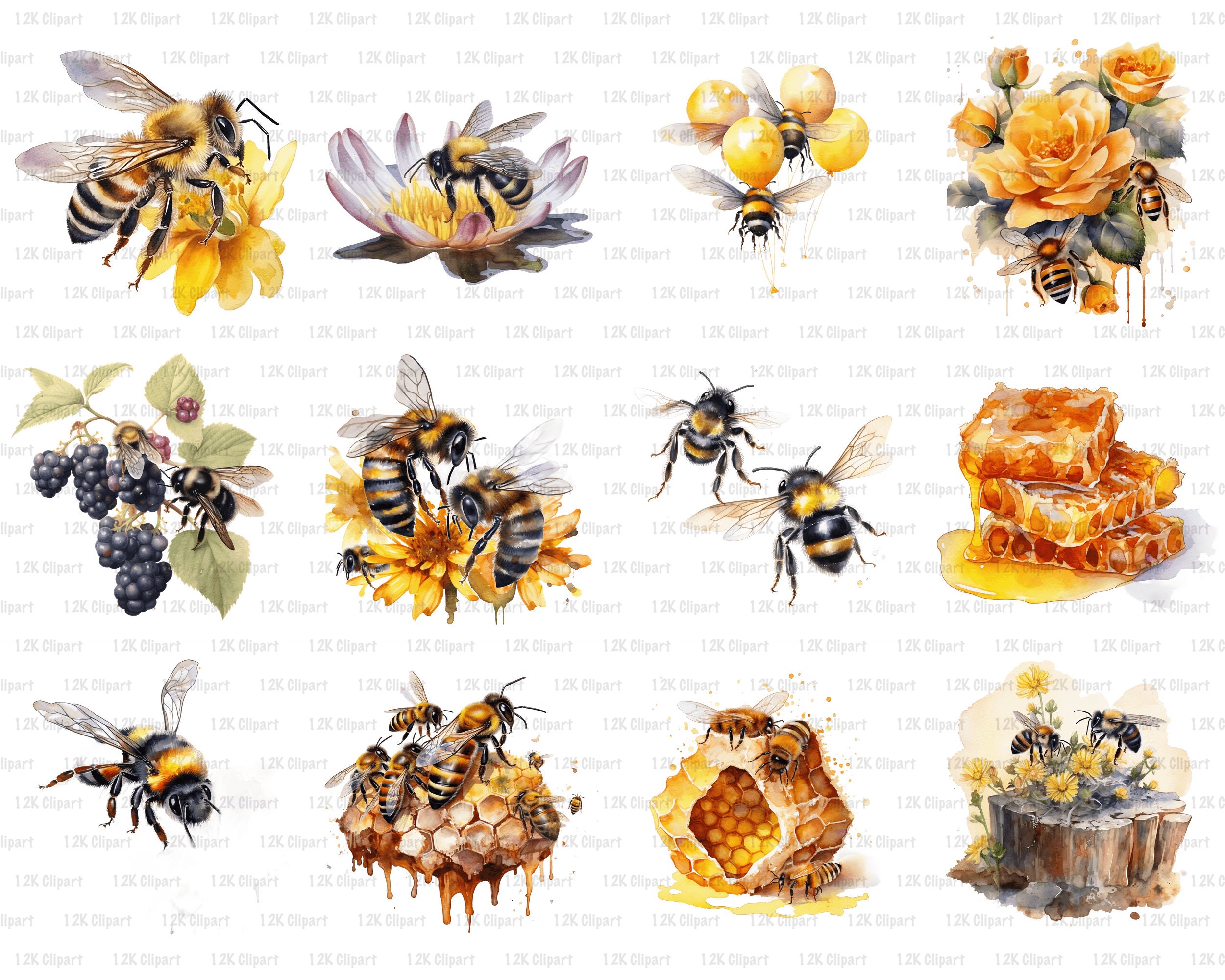 Watercolor Clipart Bumble Bee & Honey Bee Bundle Ultra-high Resolution ...