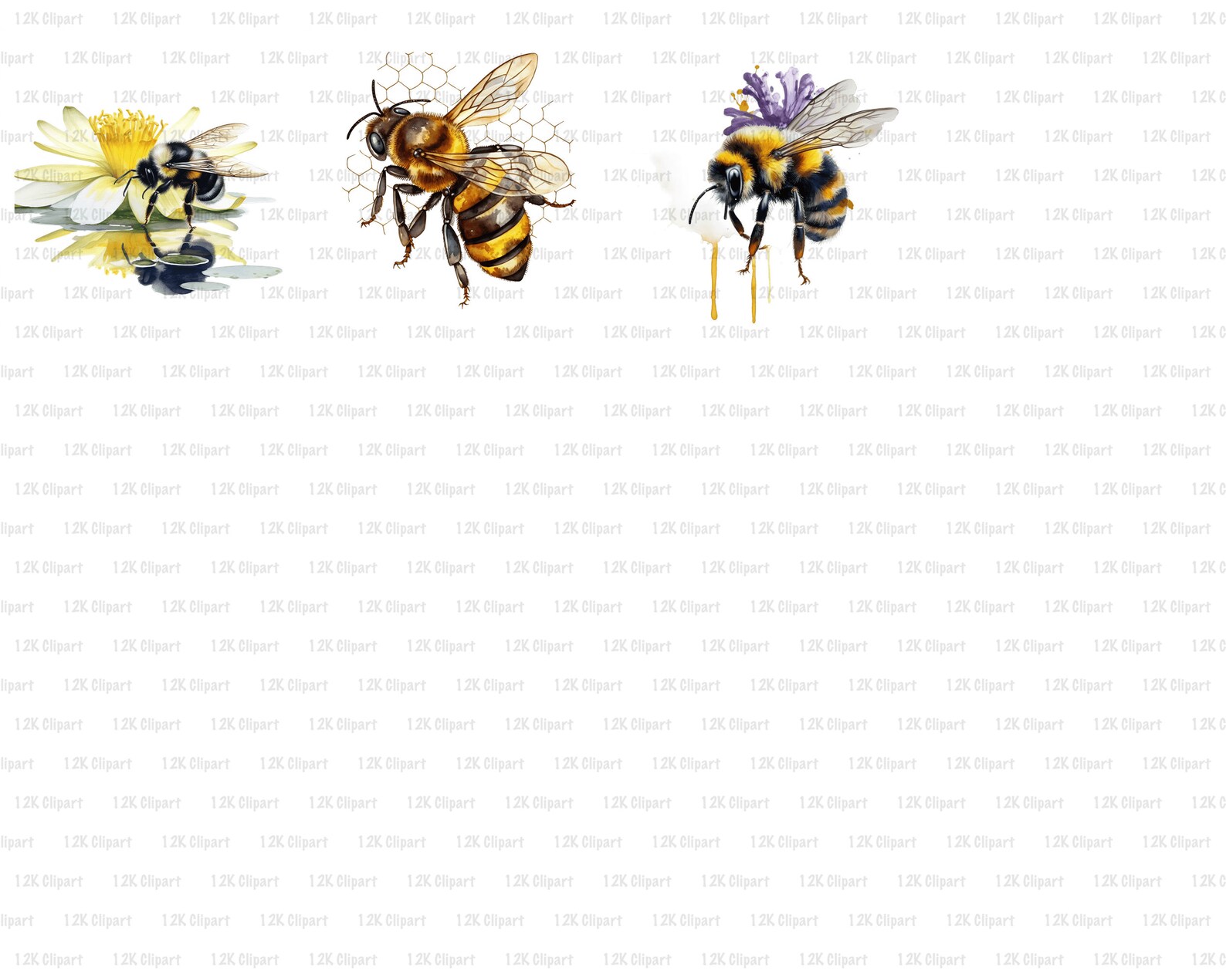 Watercolor Clipart Bumble Bee & Honey Bee Bundle Ultra-high Resolution ...
