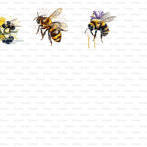 Watercolor Clipart Bumble Bee & Honey Bee Bundle Ultra-high Resolution ...